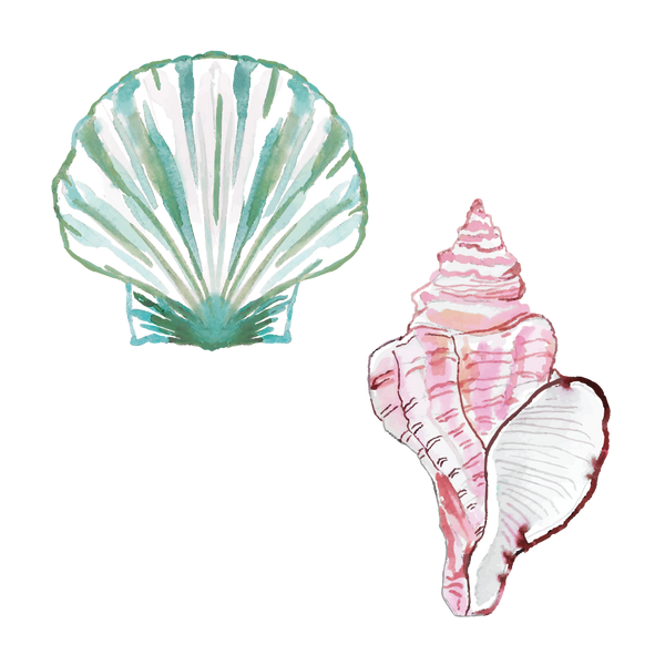 Watercolor Shells for Print – Shuler Studio